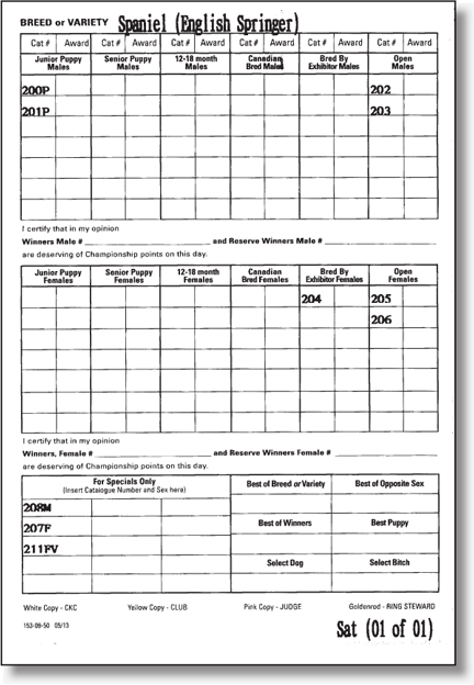 DogShow.ca - Brochure